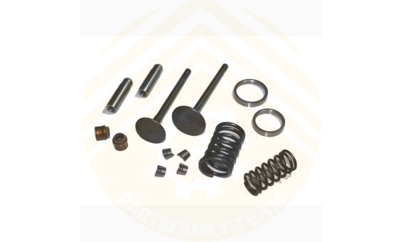 Engine Valve kit : partsfamily.net
